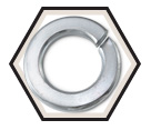 Lock Washer - Helical Spring - Steel / Zinc
